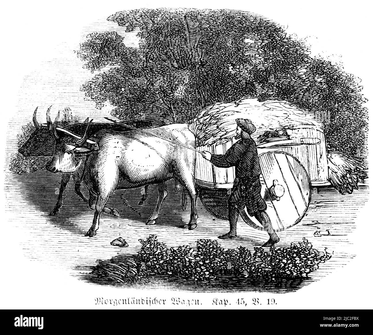 Oriental carriage, Bible, Old Testament, First Book of Moses, Genesis ...