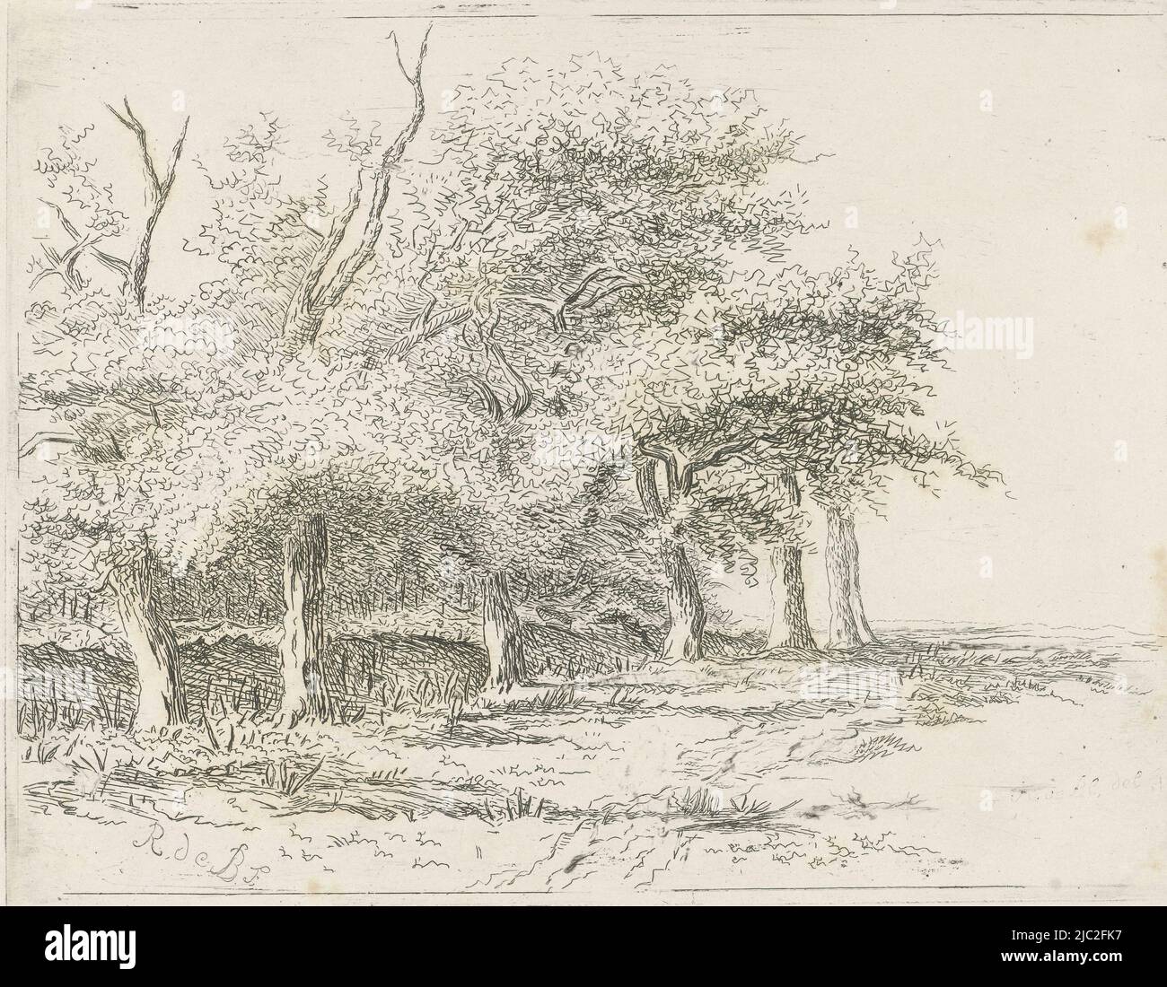 Row of trees along an embankment, Row of trees, print maker: Reinierus ...