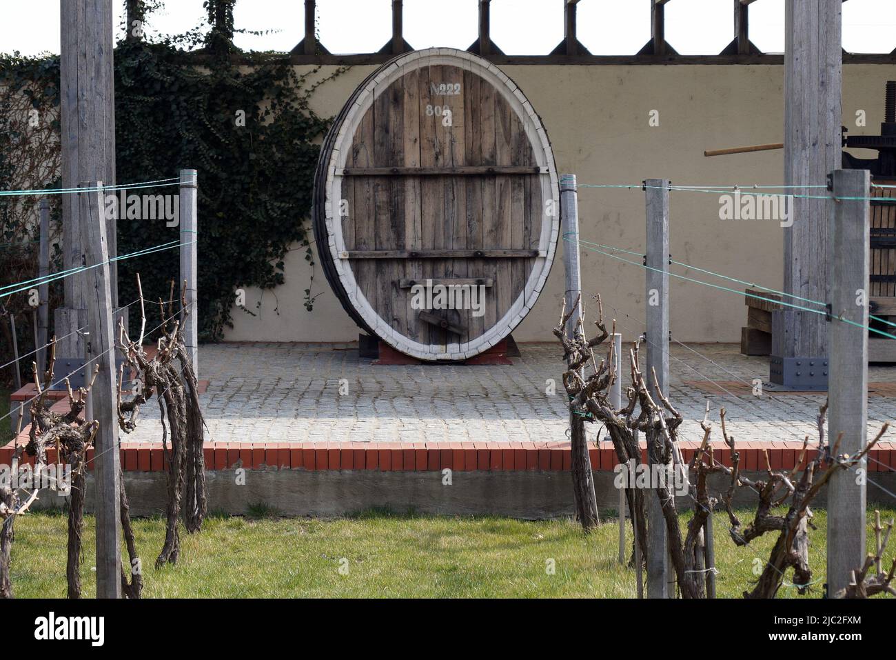 Shabo vineyard hi-res stock photography and images - Alamy