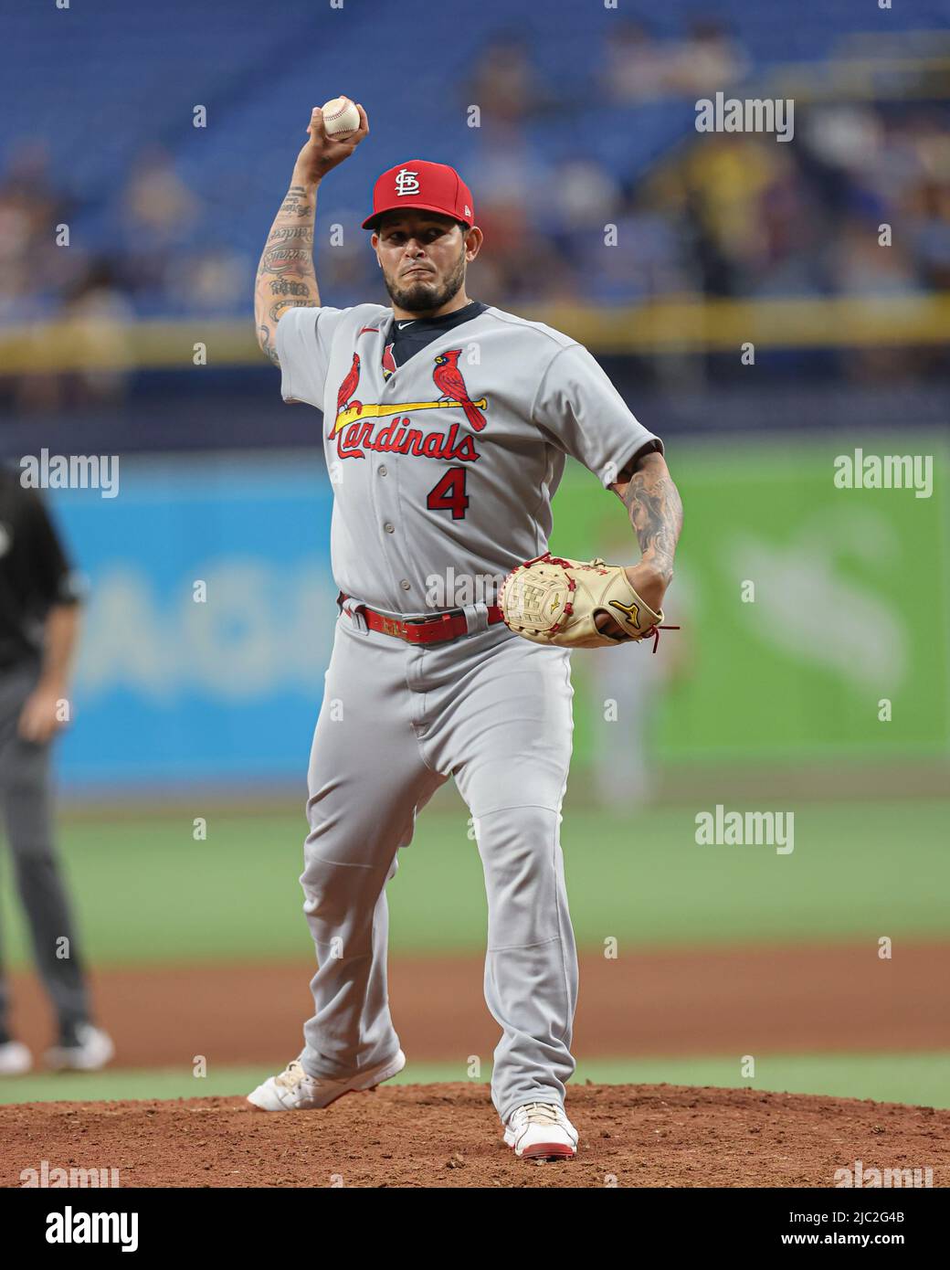 St. Petersburg, FL. USA; St. Louis Cardinals catcher Yadier Molina (4 ...