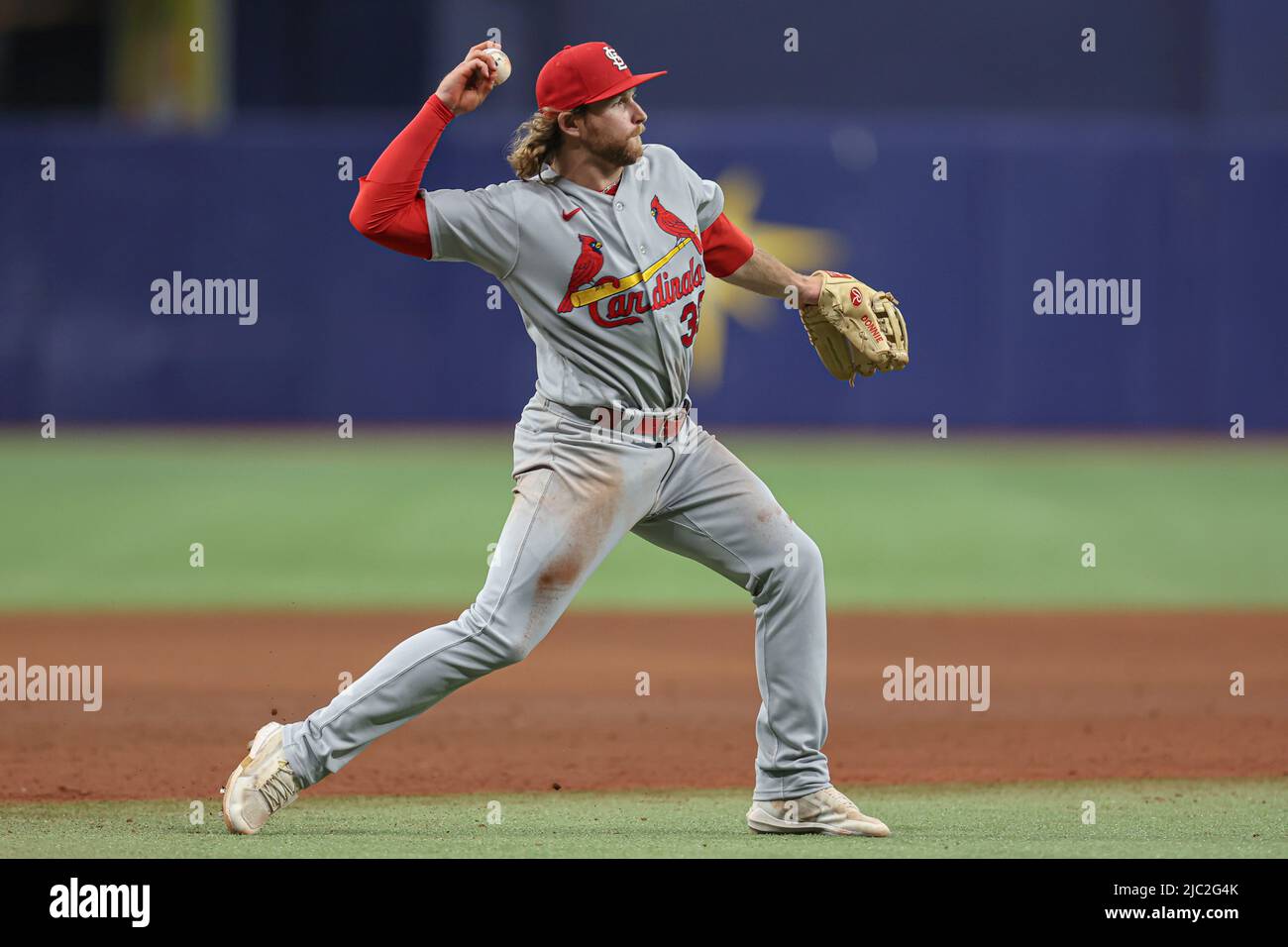 St. Petersburg, FL. USA; St. Louis Cardinals third baseman Brendan ...