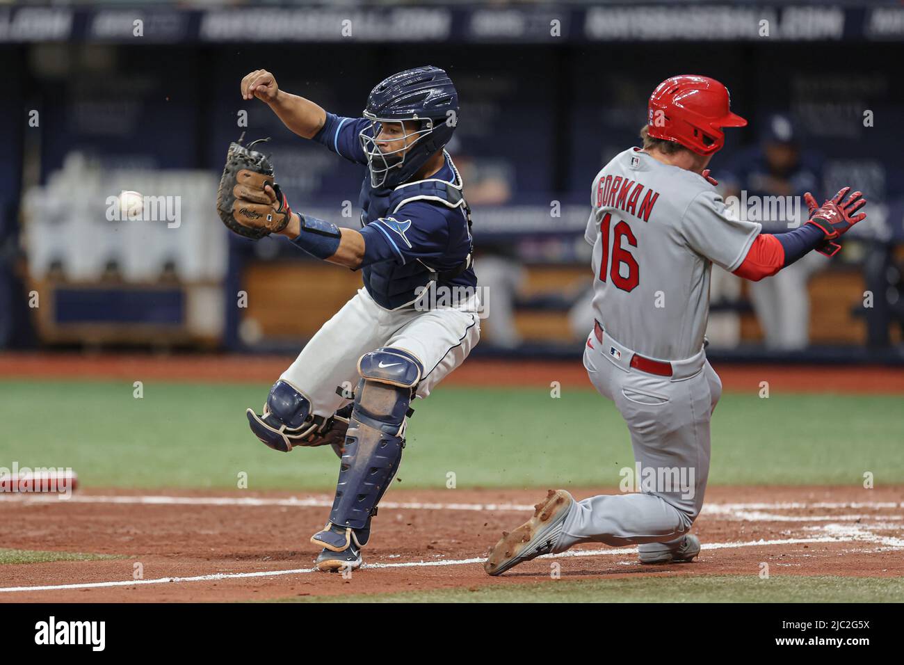 St. Petersburg, FL. USA; St. Louis Cardinals third baseman Nolan Gorman ...