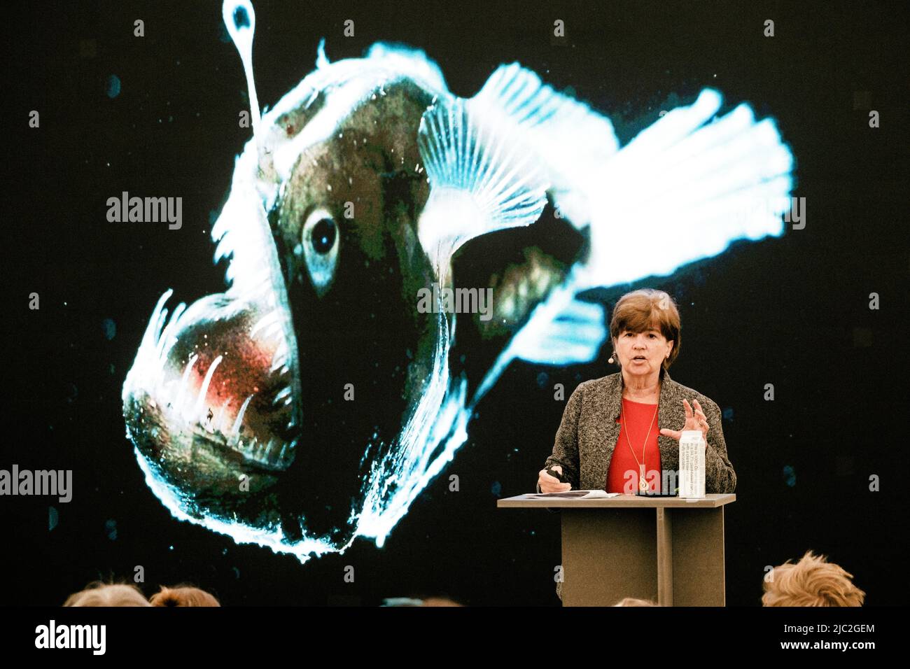 Edith widder hi-res stock photography and images - Alamy