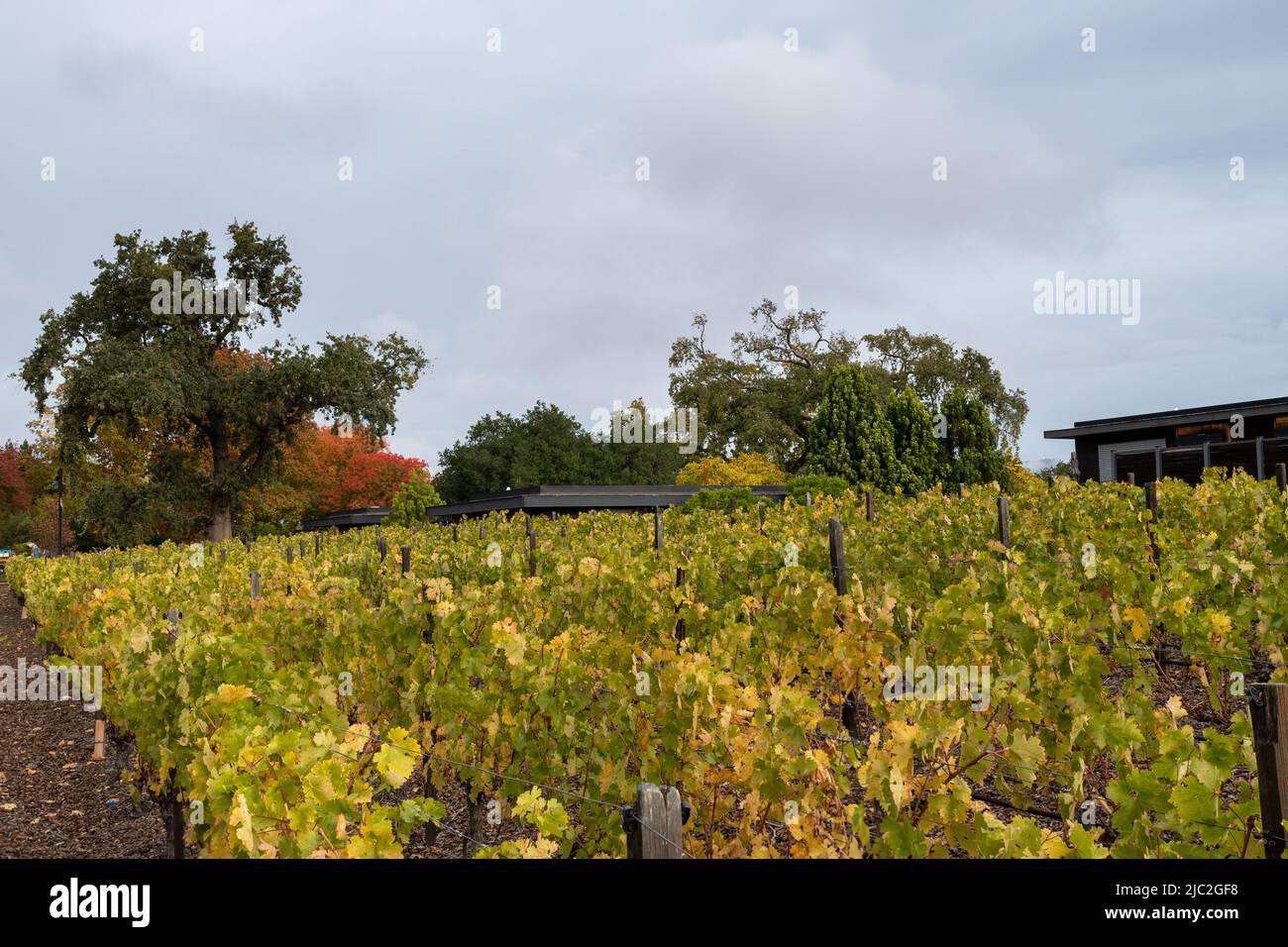 Yountville, CA, USA, October 23, 2021. Yountivlle downtown featuring ...