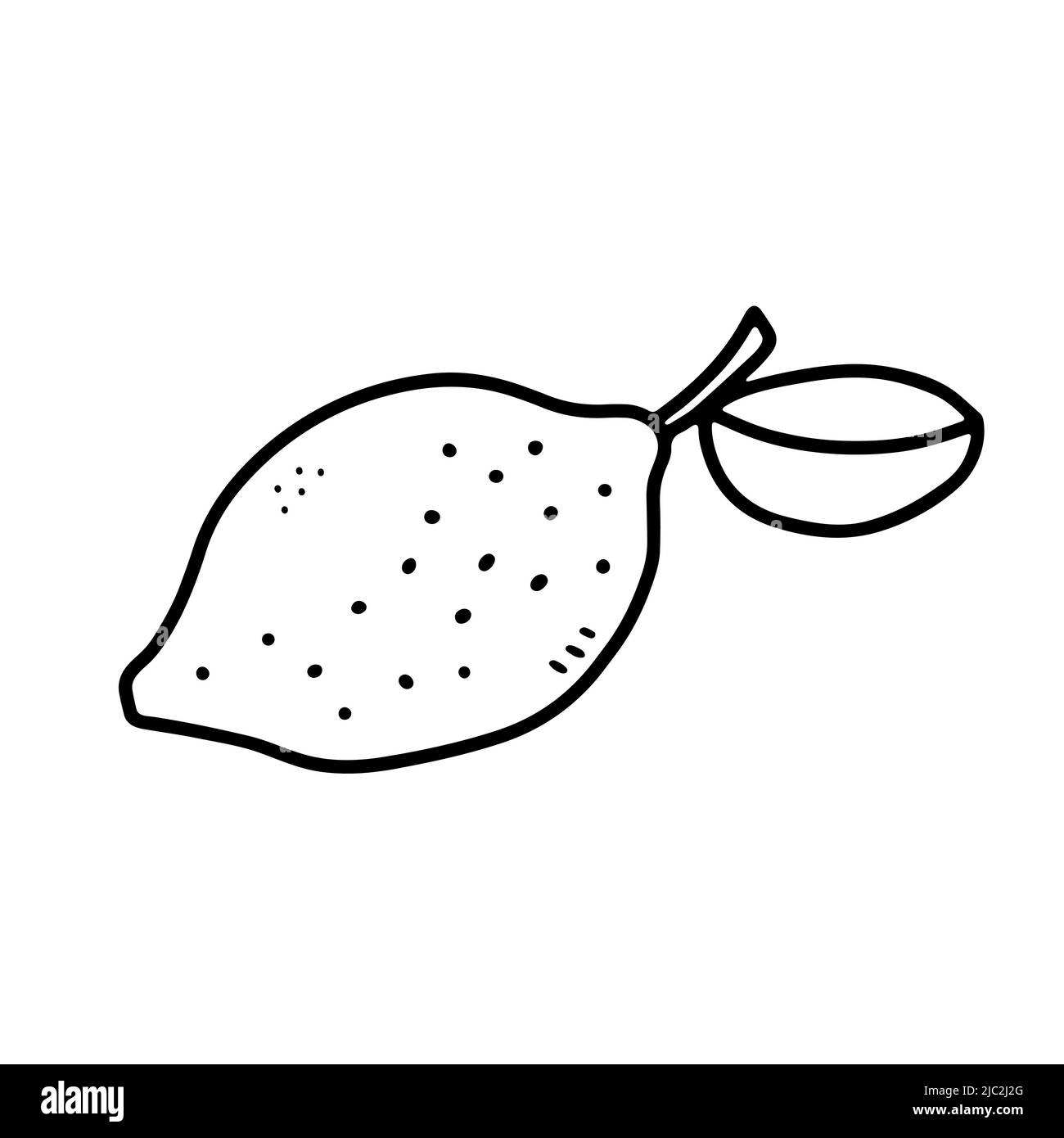 Doodle outline lemon. Hand-drawn citrus isolated on white background ...