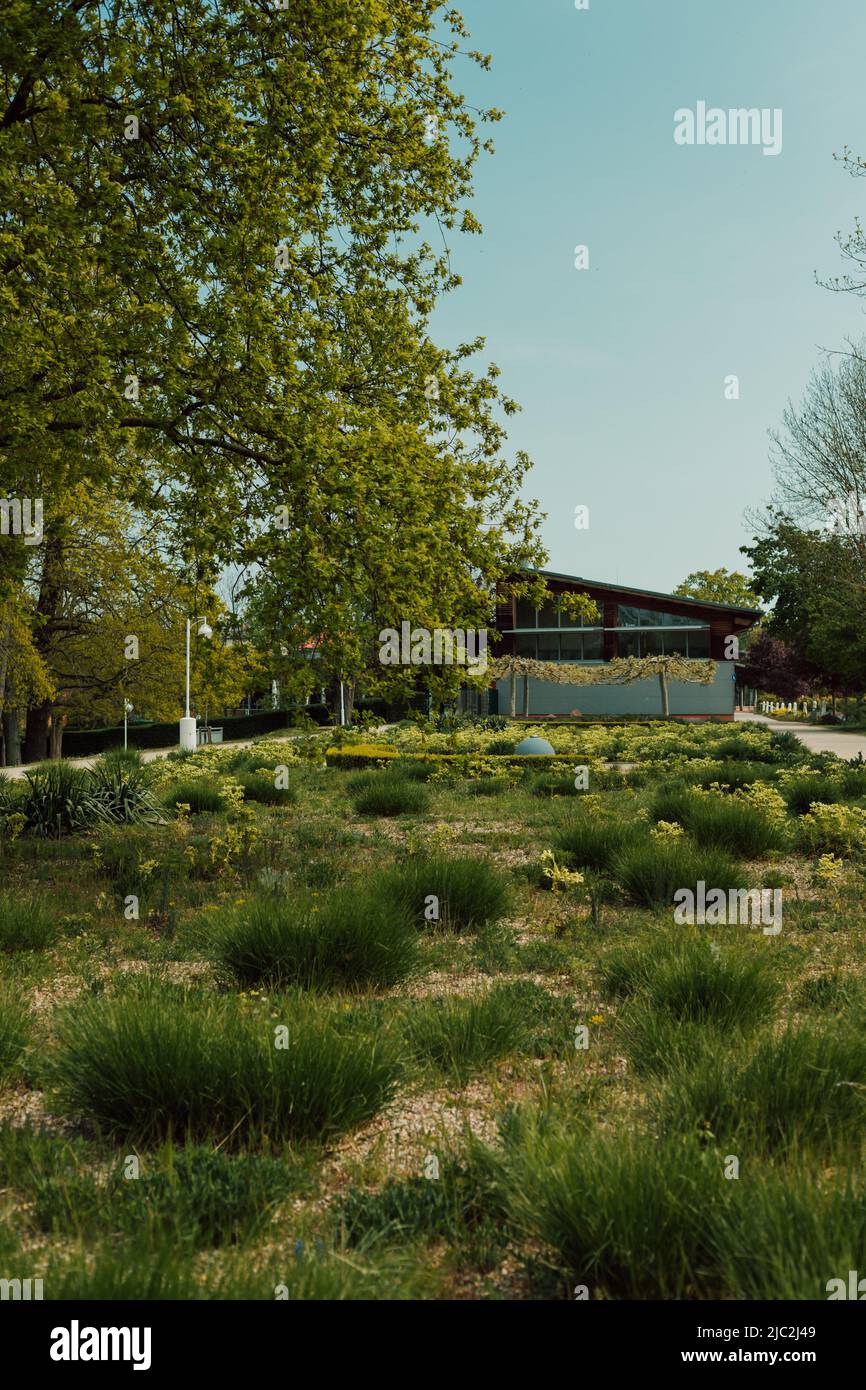 Beautiful angry grass and trees against the blue sky in the countryside ...