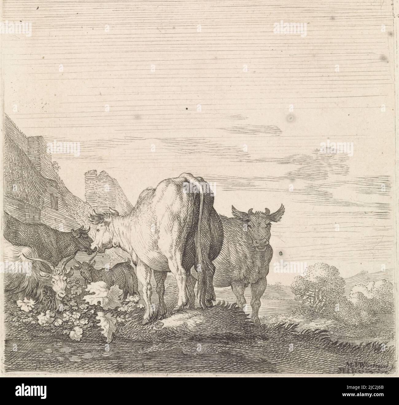 H four footed hi-res stock photography and images - Alamy