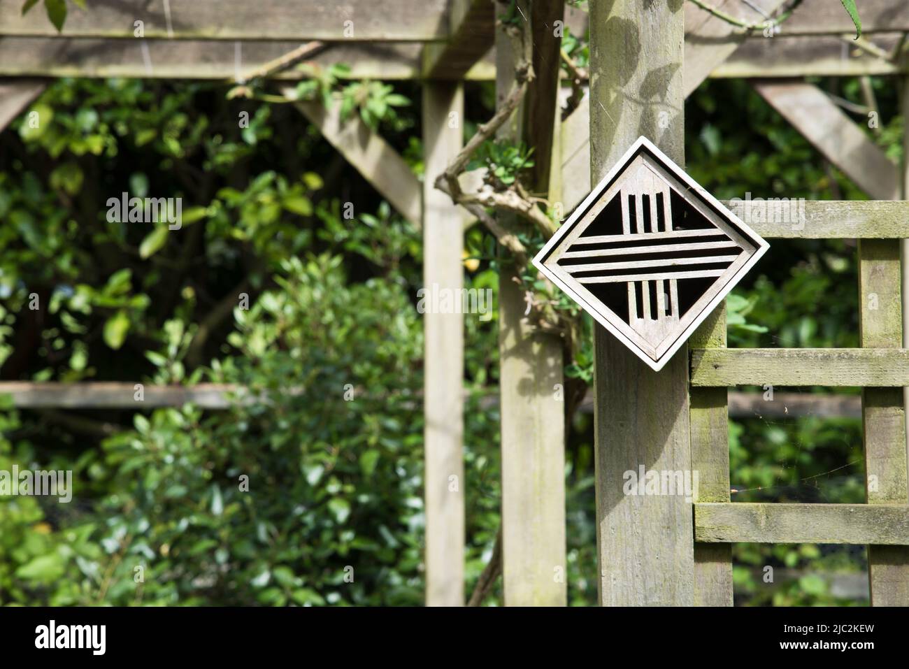 Over wintering insects hi-res stock photography and images - Alamy