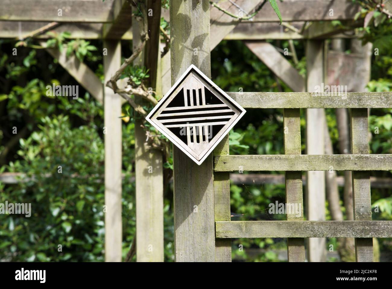 Over wintering insects hi-res stock photography and images - Alamy