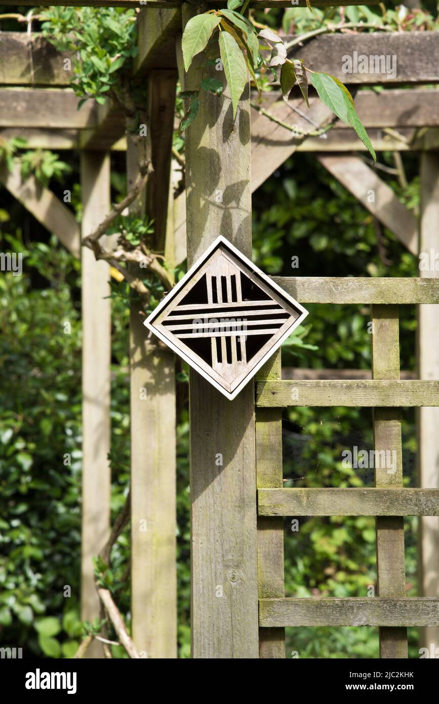 Over wintering insects hi-res stock photography and images - Alamy