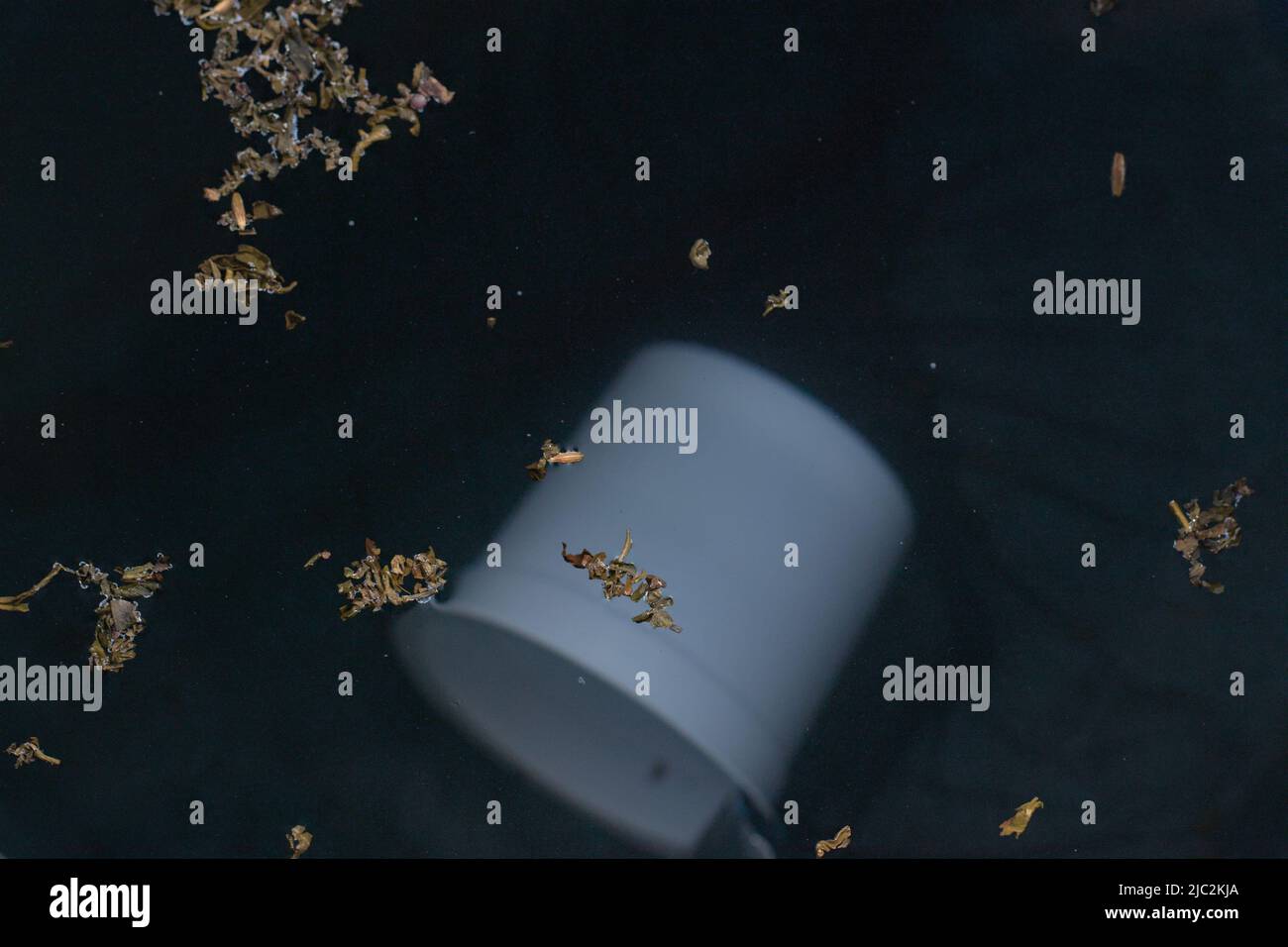 Plastic cup container inside water body Stock Photo - Alamy