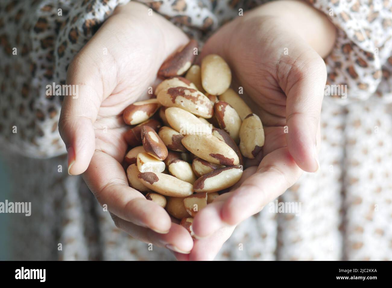 Brazilian nut hi-res stock photography and images - Alamy