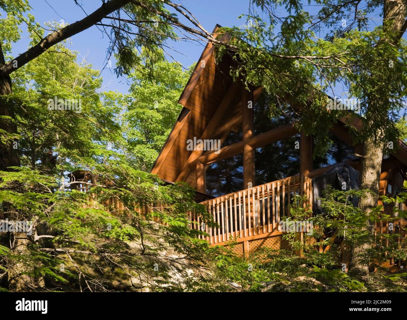 Log home through trees in summer Stock Photo - Alamy