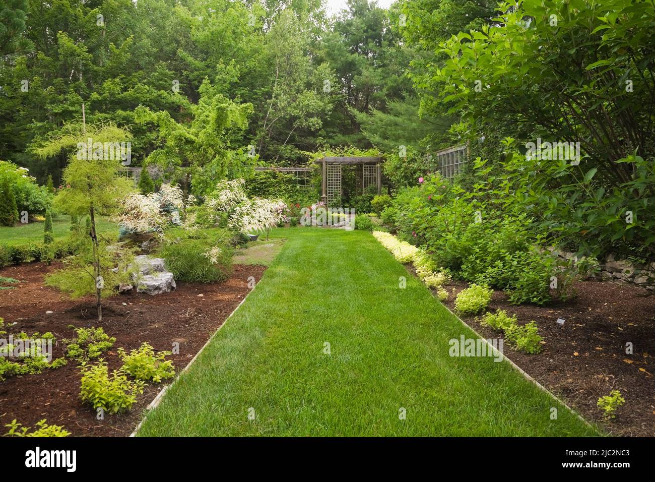 Grass path leading to pergola in landscaped residential backyard garden ...