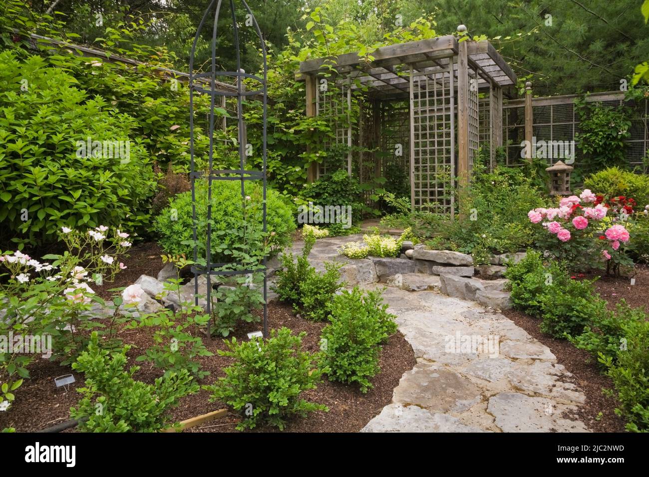 Stone path leading to pergola in landscaped residential backyard garden ...