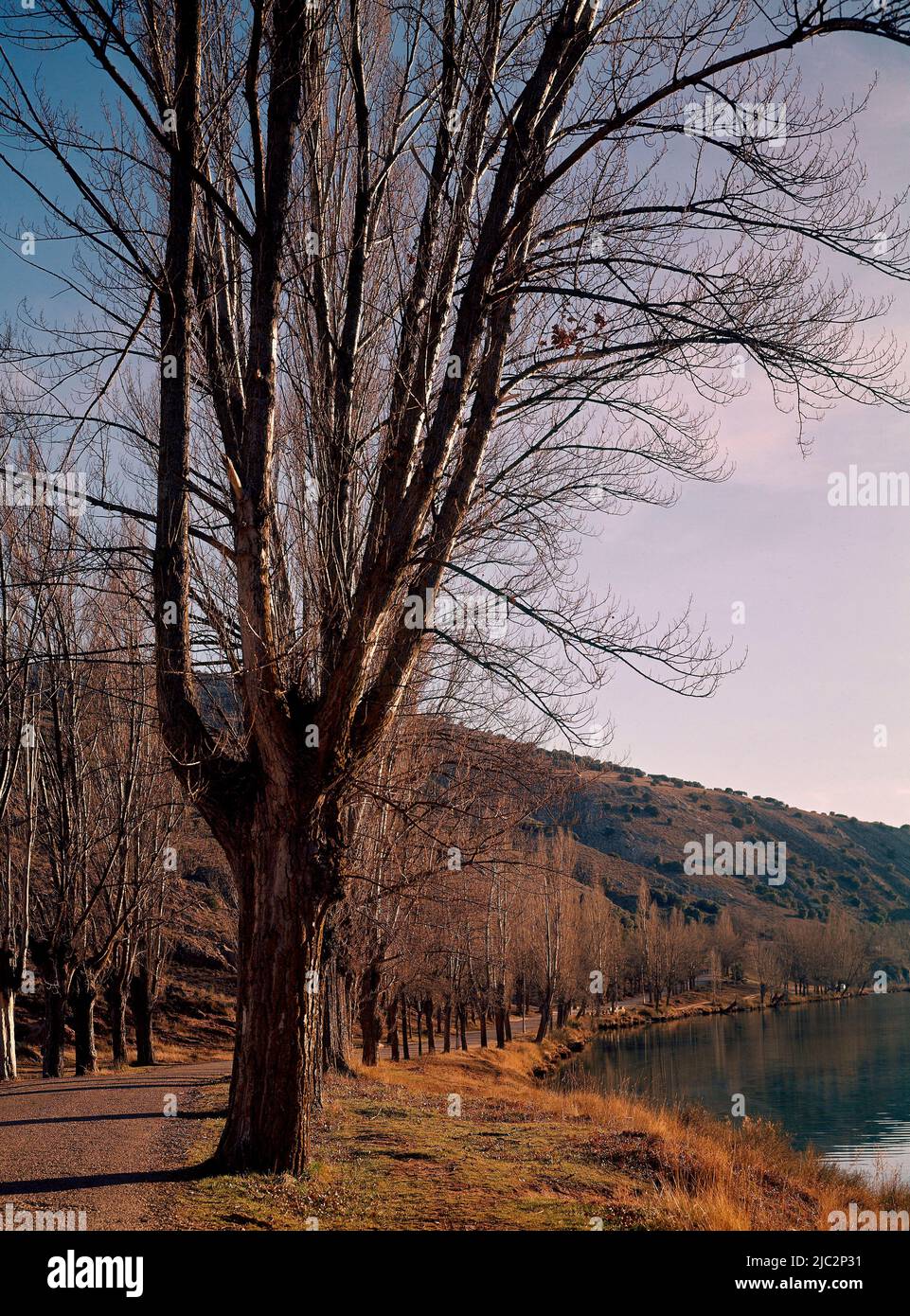PASEO DE ALAMOS EN INVIERNO. Location: EXTERIOR. PROVINCIA. Soria ...