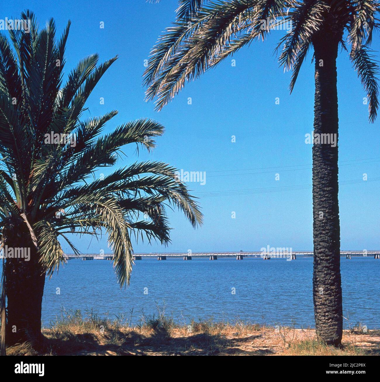 CONFLUENCIA DE LOS RIOS TINTO Y ODIEL - FOTO AÑOS 60. Location ...