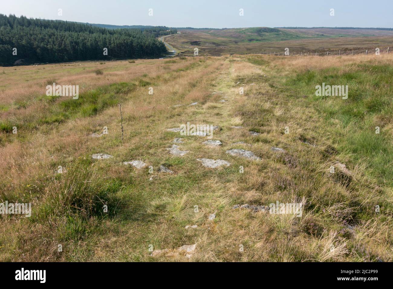 The Wheeldale Roman Road, North York Moors National Park, North ...