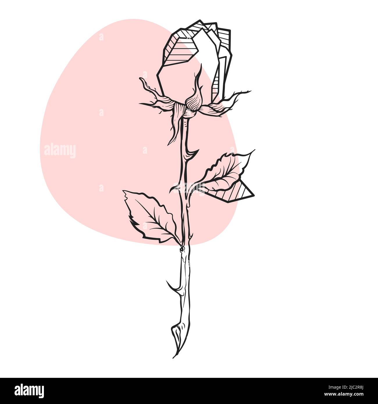 Black rose, geometric shape, with lines, minimalism Stock Vector Image ...