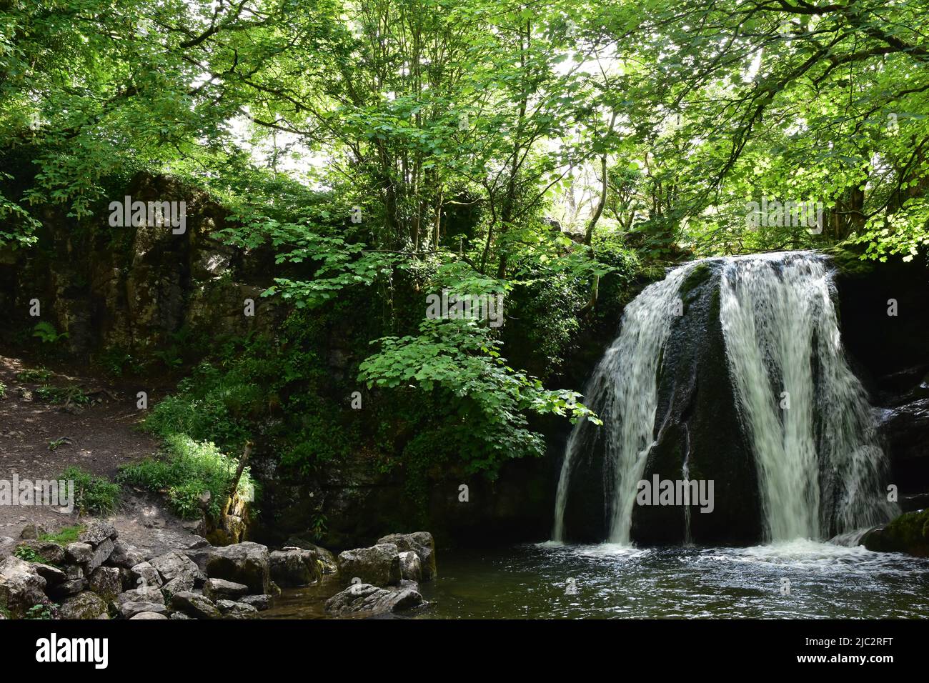 Malham, Janet's Foss,Yorkshire Dales Stock Photo - Alamy