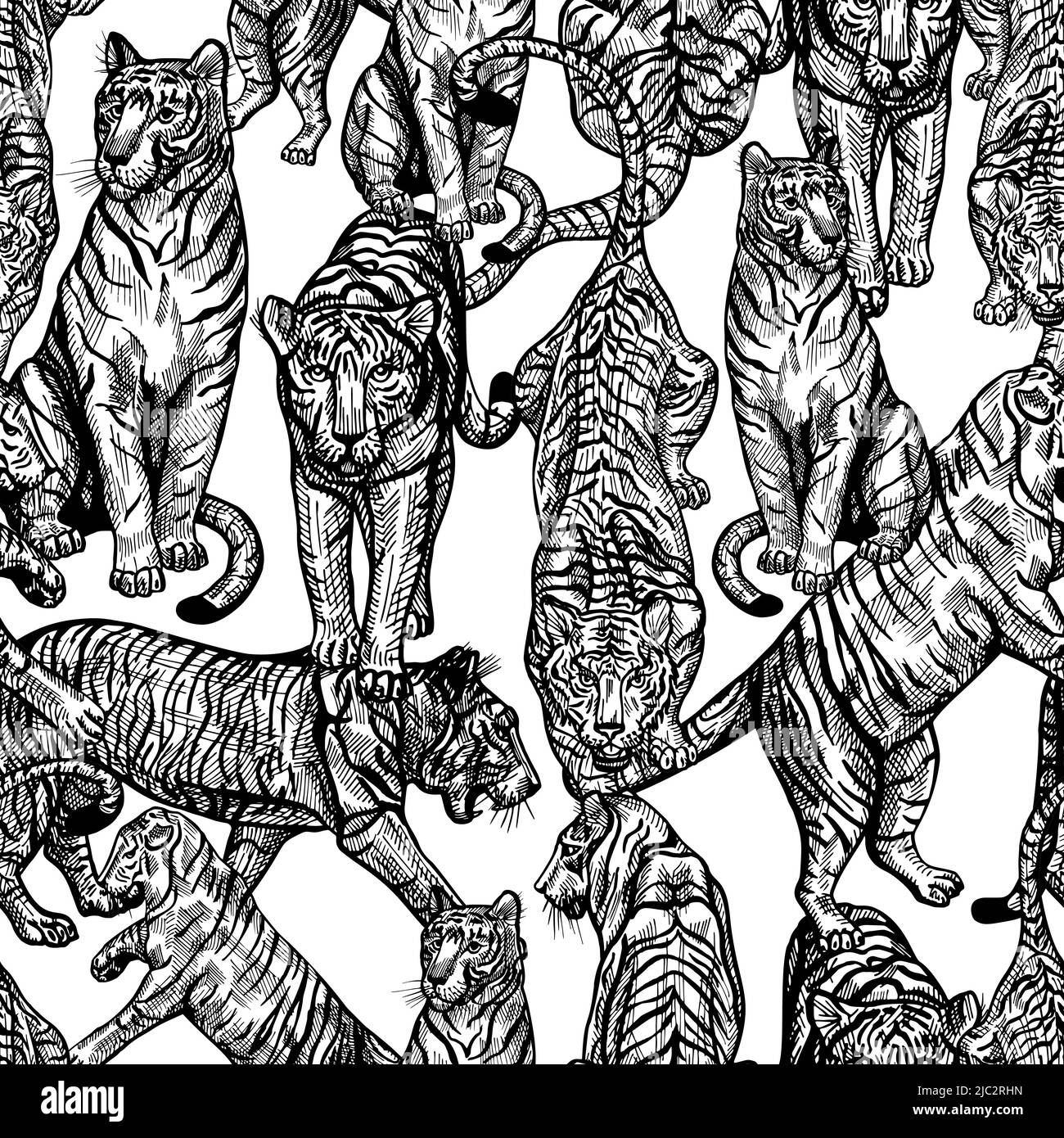 Engraved fur texture Stock Vector Images - Alamy