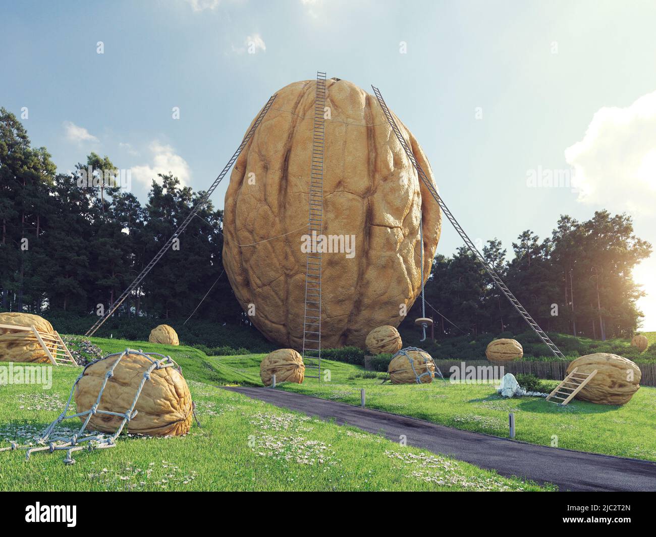 Giant walnut hi-res stock photography and images - Alamy