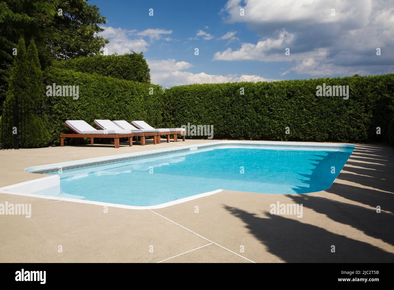 Inground swimming pool surrounded by a cedar tree hedge in residential ...