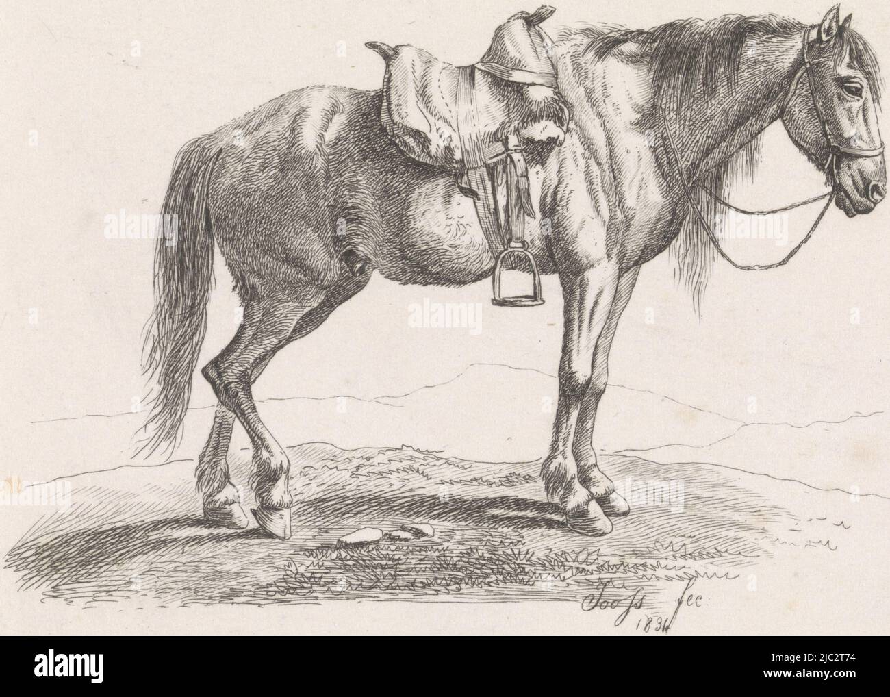 A saddled horse in a landscape, Saddled horse, print maker: George ...