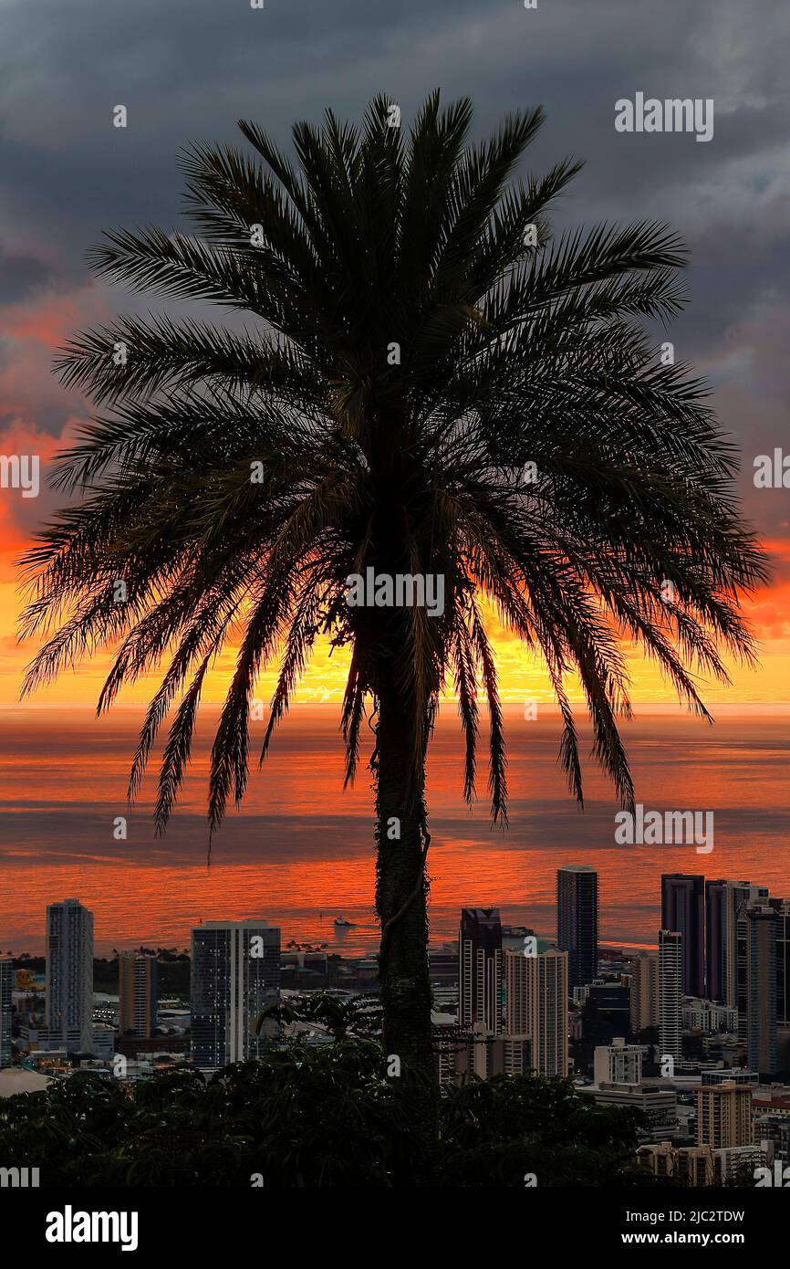 Honolulu sunrise hi-res stock photography and images - Alamy