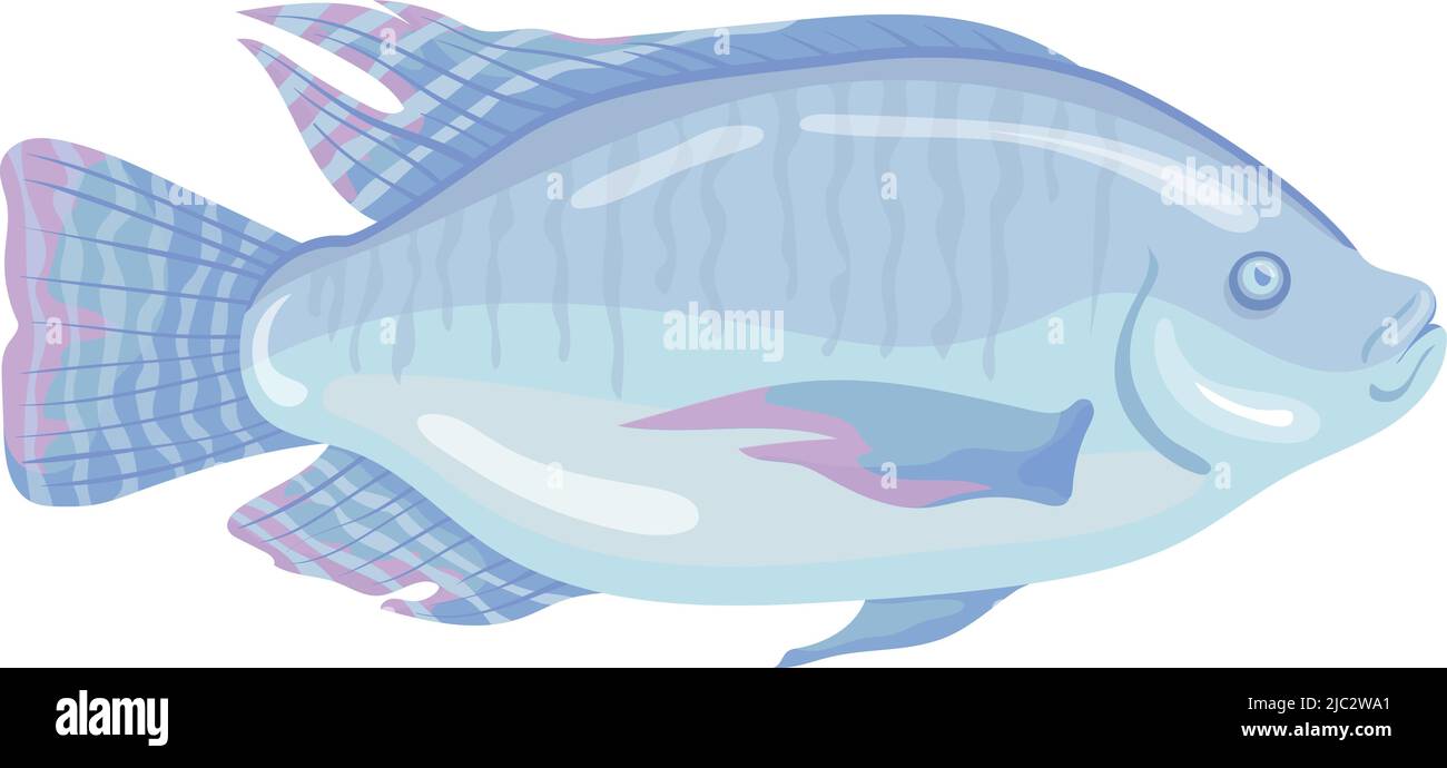 Tilapia fish with glossy scales. Cartoon underwater animal isolated on ...