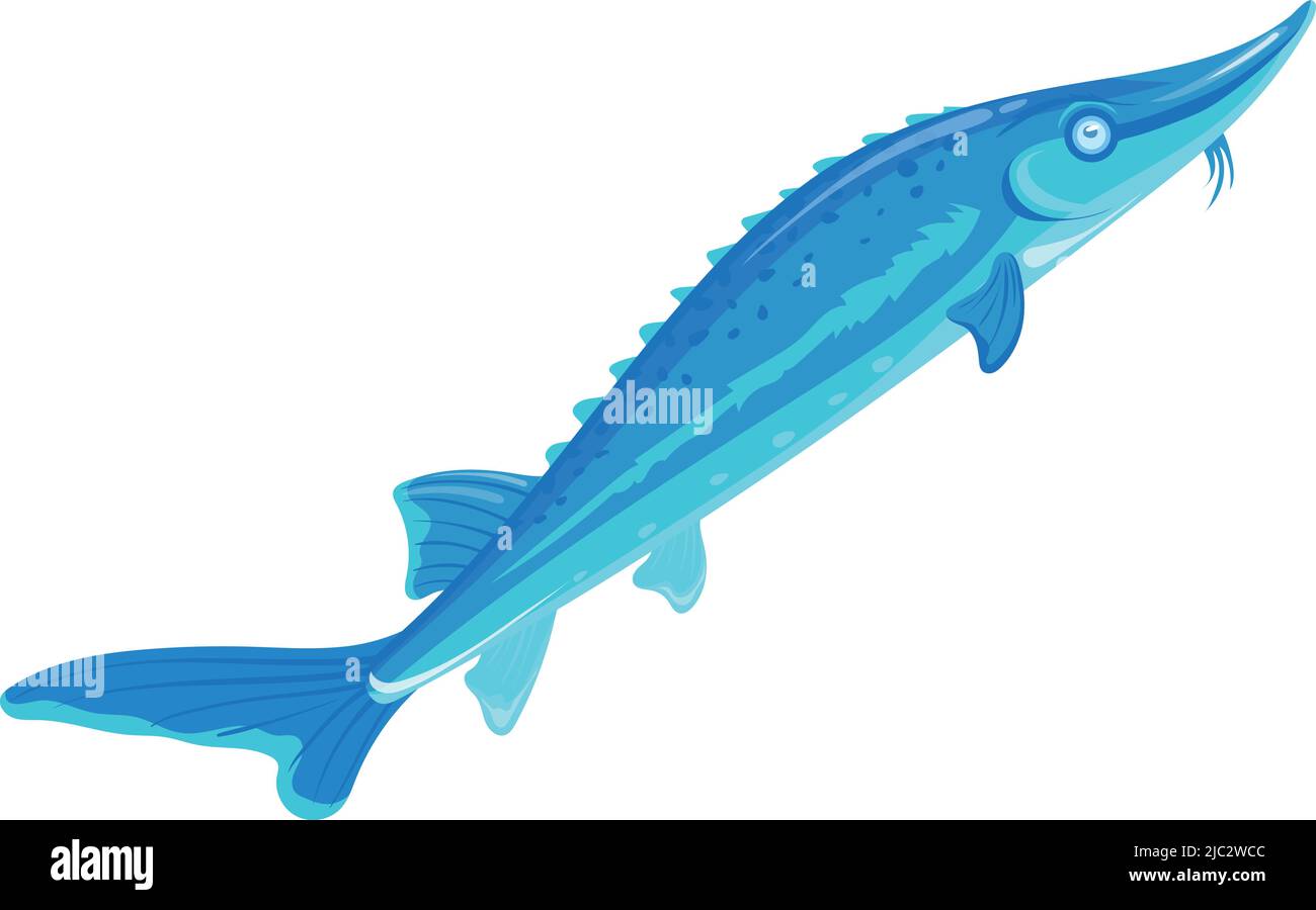 Blue sterlet icon. Cartoon fish. Fisherman catch isolated on white ...