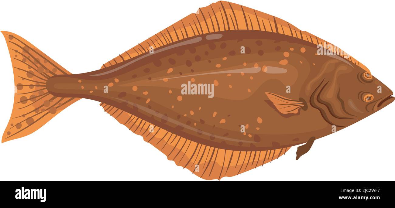 Halibut icon. Fresh product logo. Cartoon fish isolated on white ...