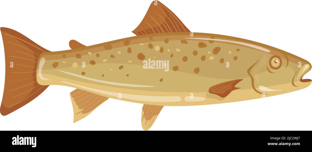 Trout cartoon icon. Swimming underwater animal character isolated on ...
