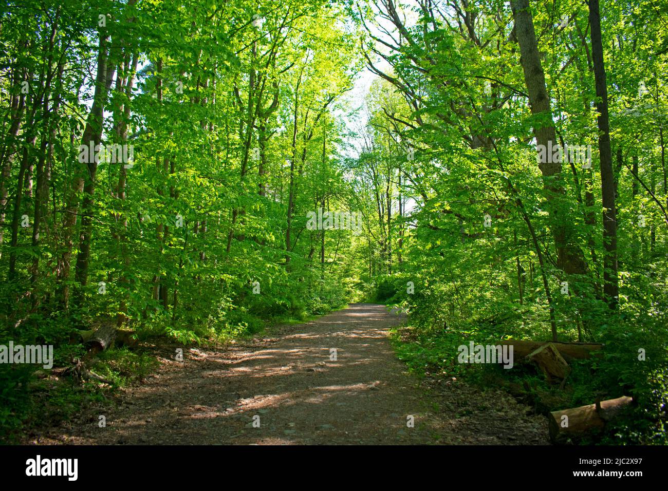 Nature trail near Hemlock Falls at South Mountain Reservation in ...