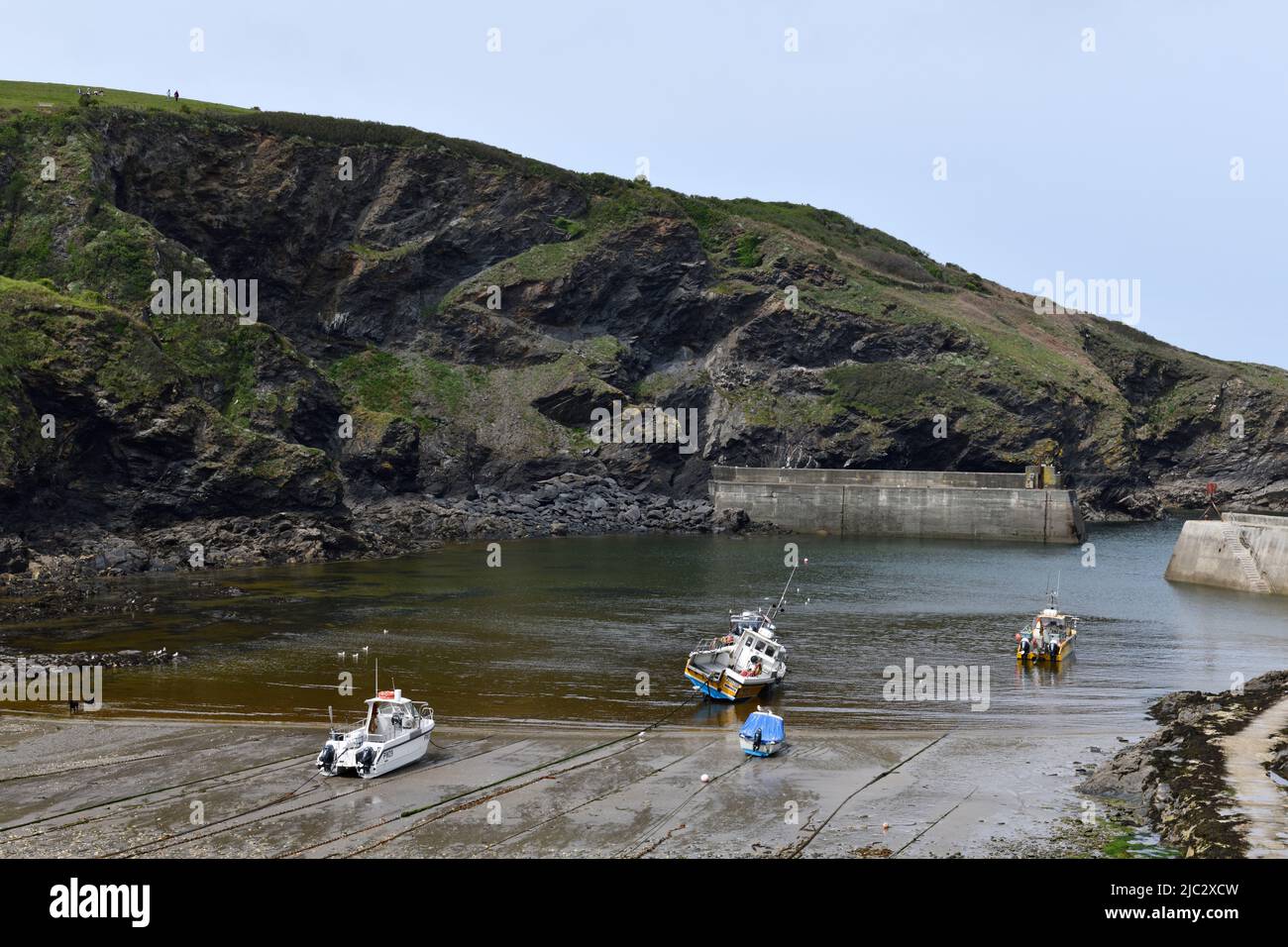 Port Issac Harbour without People Cornwall England uk Stock Photo - Alamy