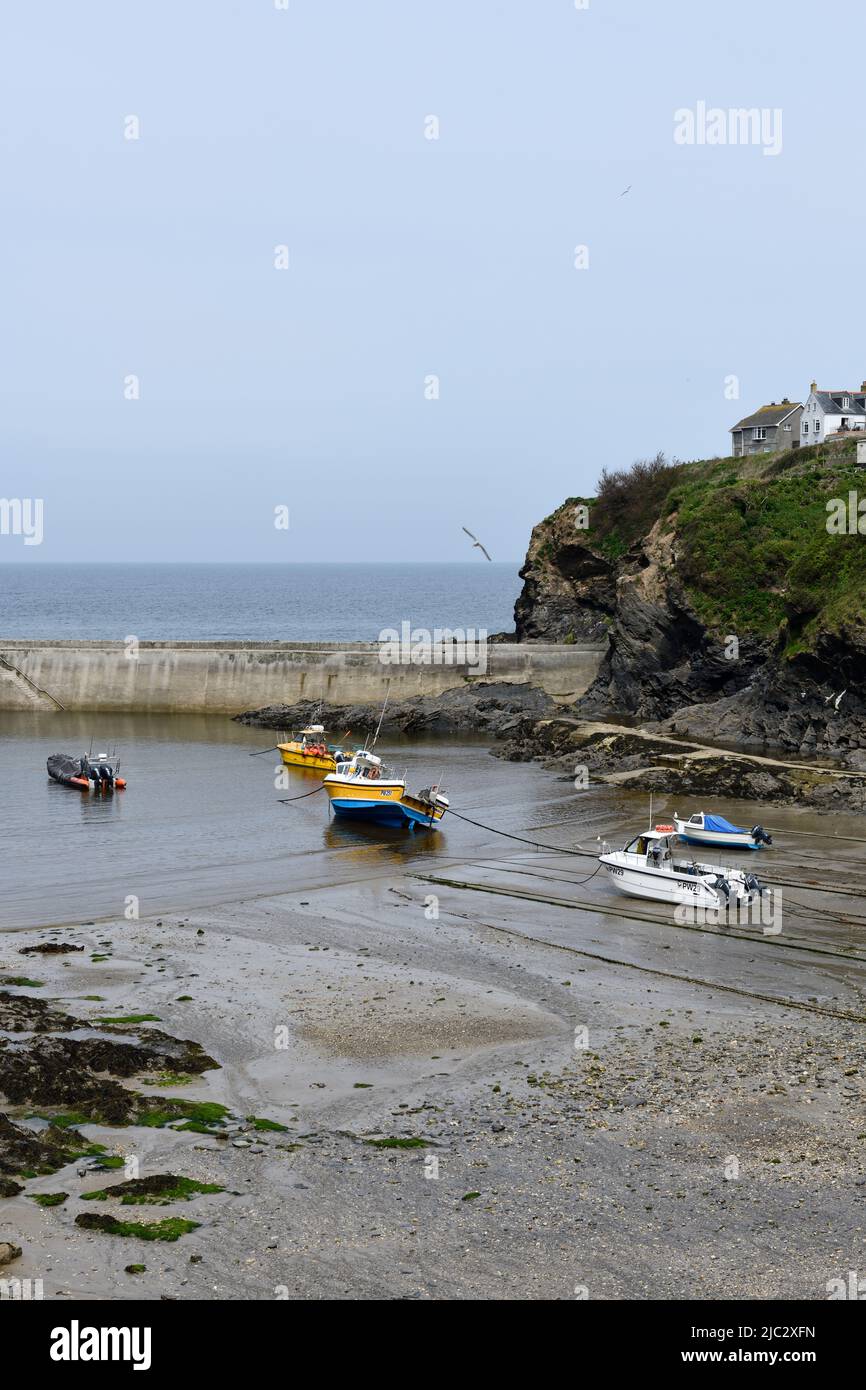 Port Issac Harbour without People Cornwall England uk Stock Photo - Alamy