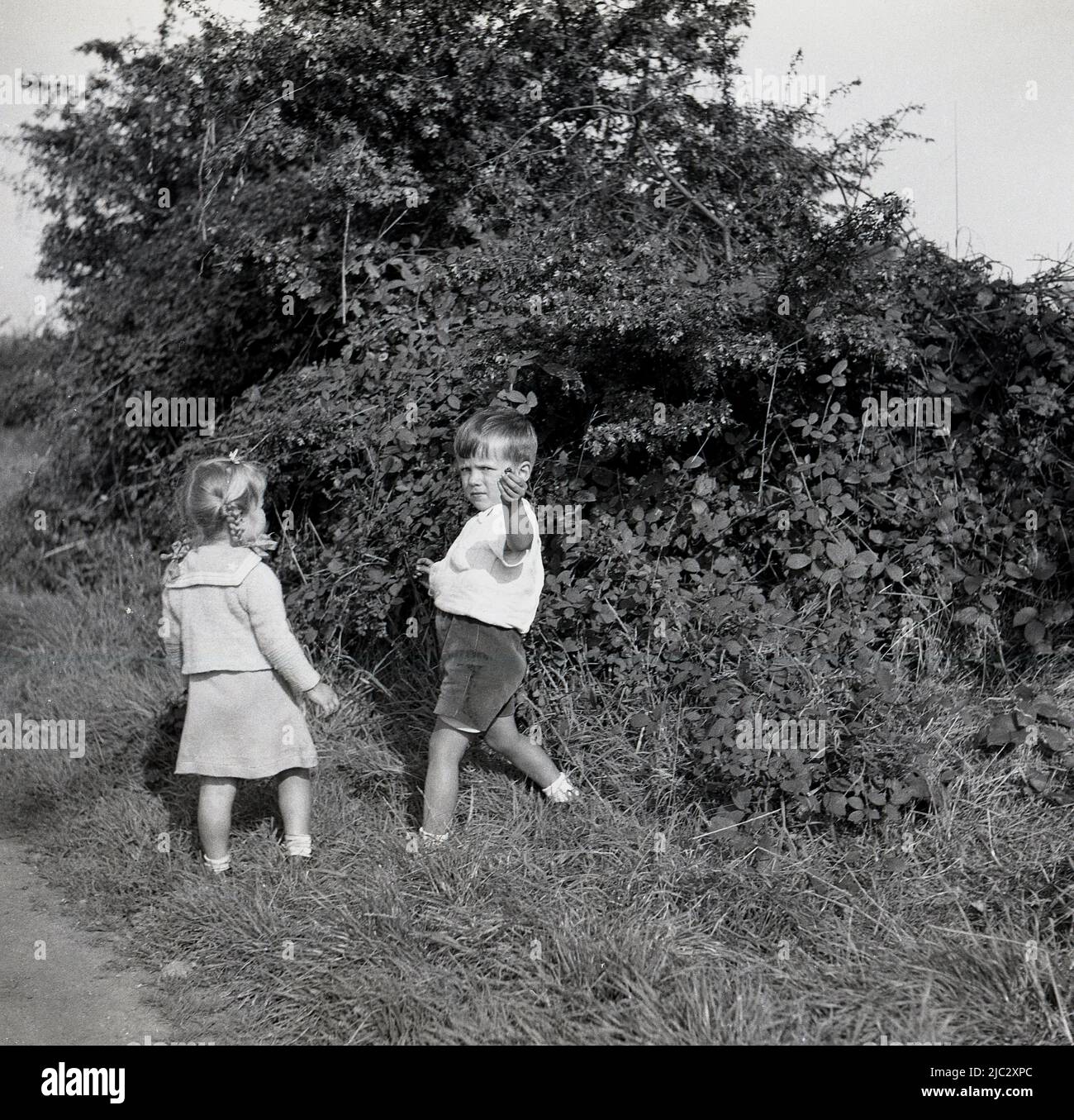 Blackberry picking 1950s hi-res stock photography and images - Alamy