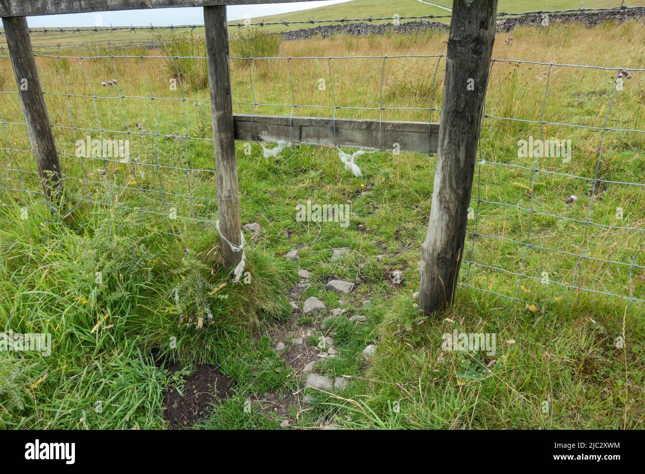 Smoot bridge hi-res stock photography and images - Alamy