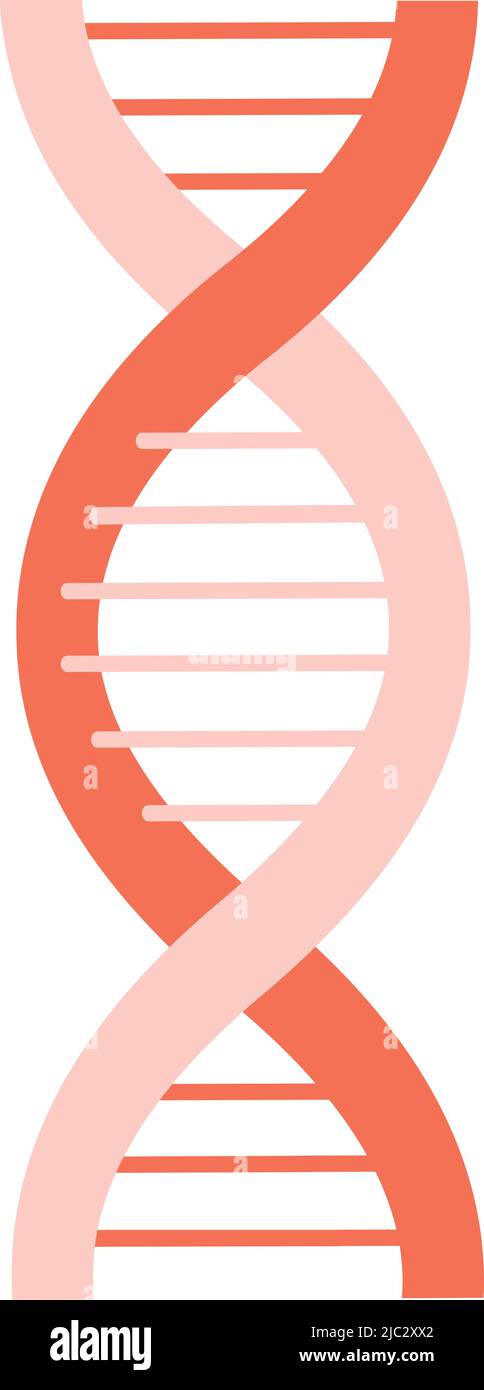 Genetic cell icon. Chromosome symbol. Dna sign isolated on white ...