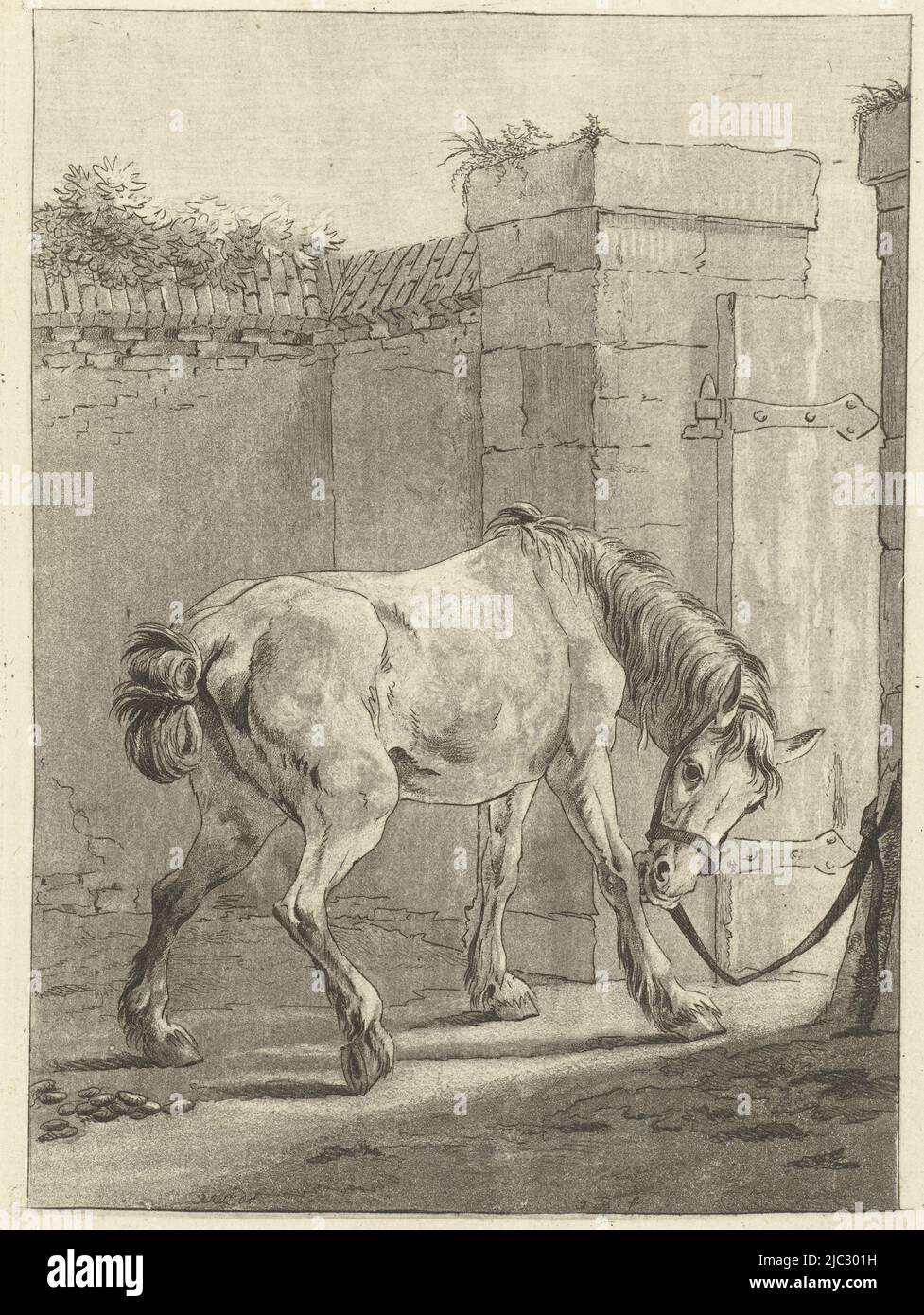 A horse tied to a post near an open gate door. The horse has its tail ...