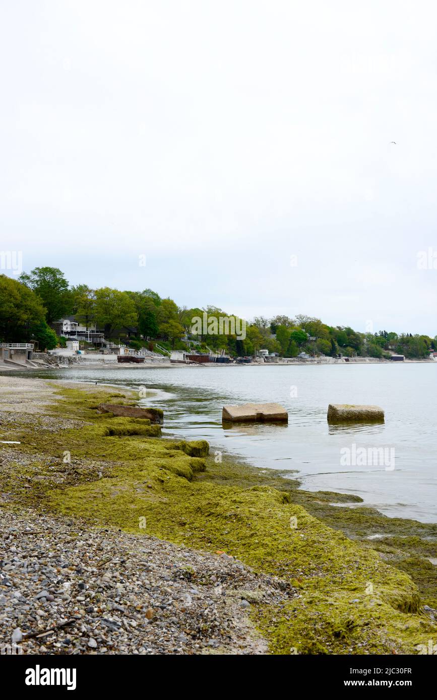 Lake Erie shore and beaches part of the Great Lakes. Freshwater lakes ...