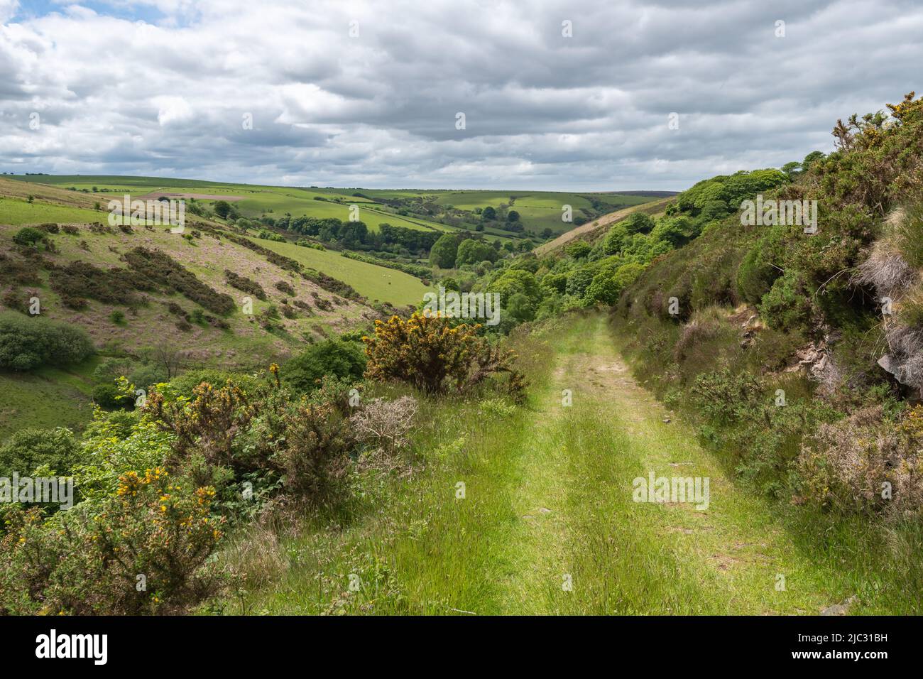 Landscape photo of the circular walk along the Weir Water river at ...