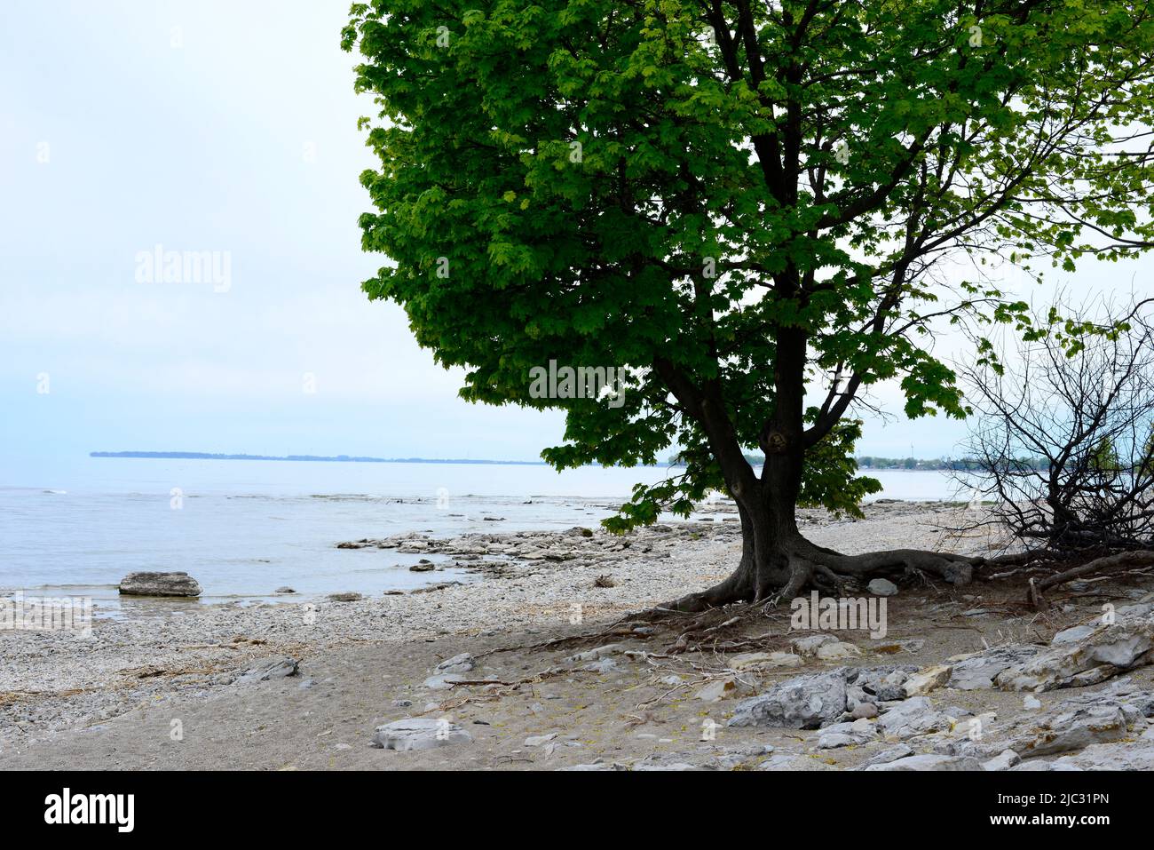 Lake Erie shore and beaches part of the Great Lakes. Freshwater lakes ...