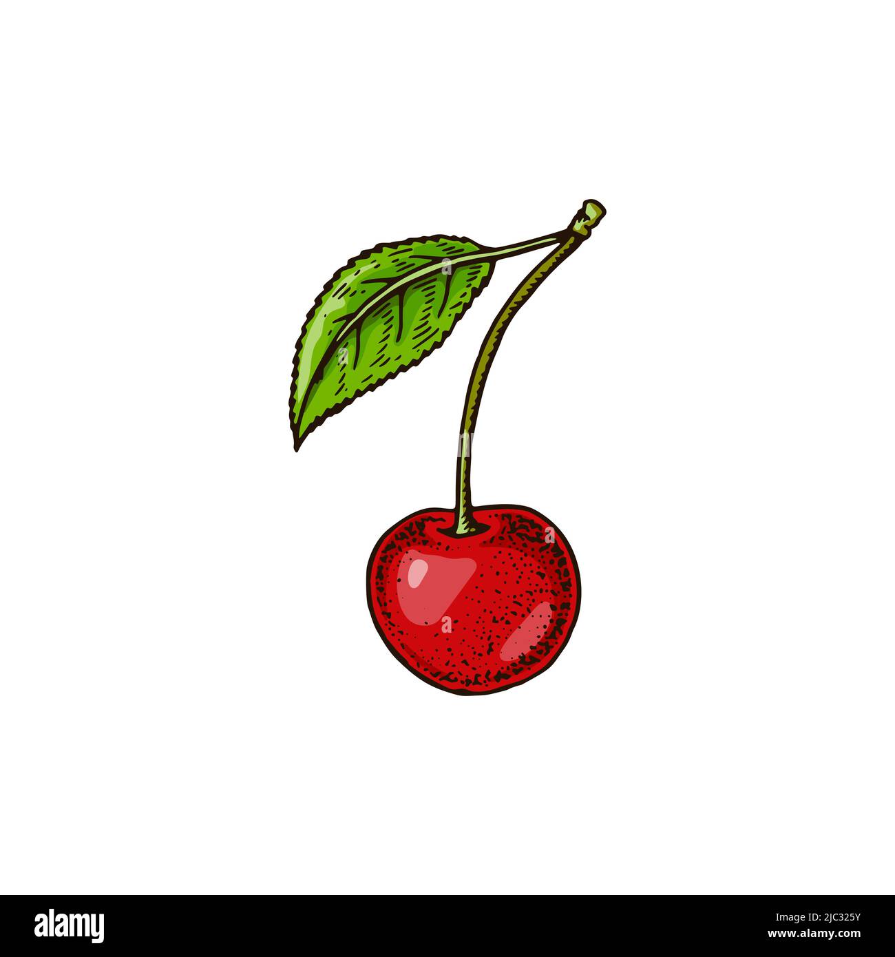 Hand drawn outline berry Stock Vector Images - Alamy