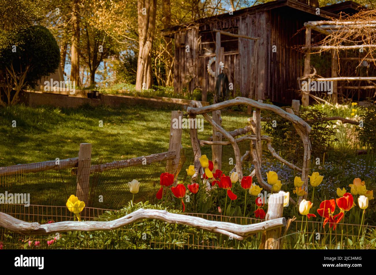 Vivid green garden shed hi-res stock photography and images - Alamy