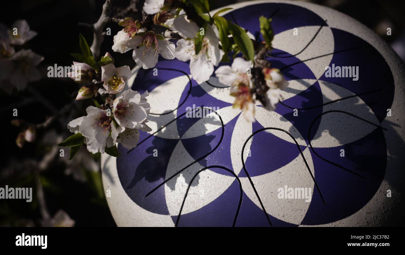 steel tongue drum tank drum Stock Photo - Alamy