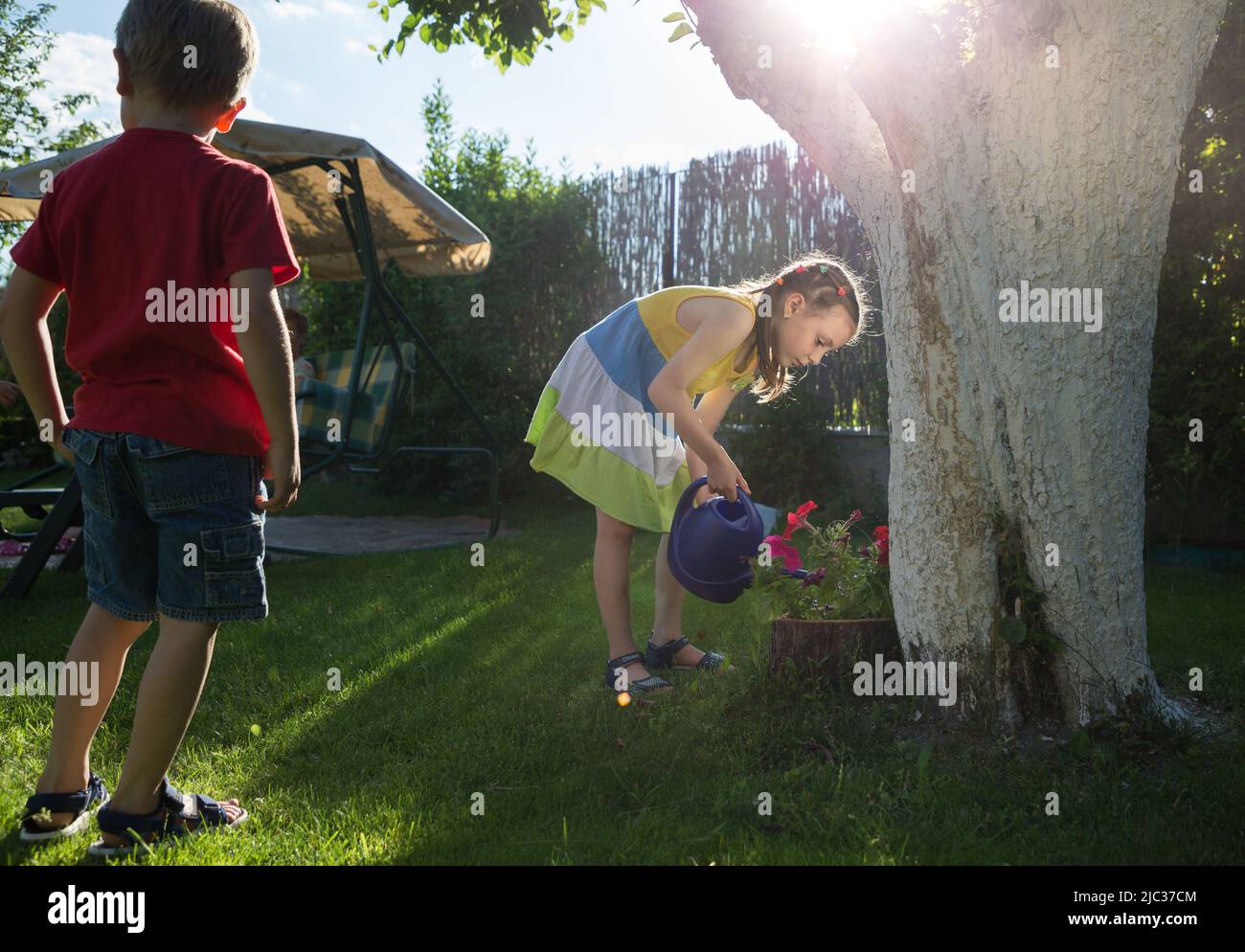 girl, a little gardener's helper, waters flowers from a watering can in ...