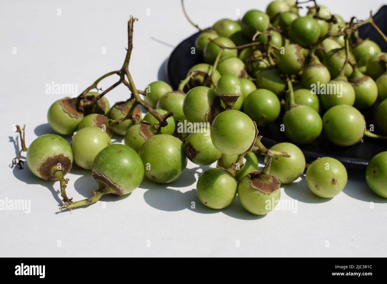 Indian fruit Green Fragrant manjack or snotty gobbles also known as ...