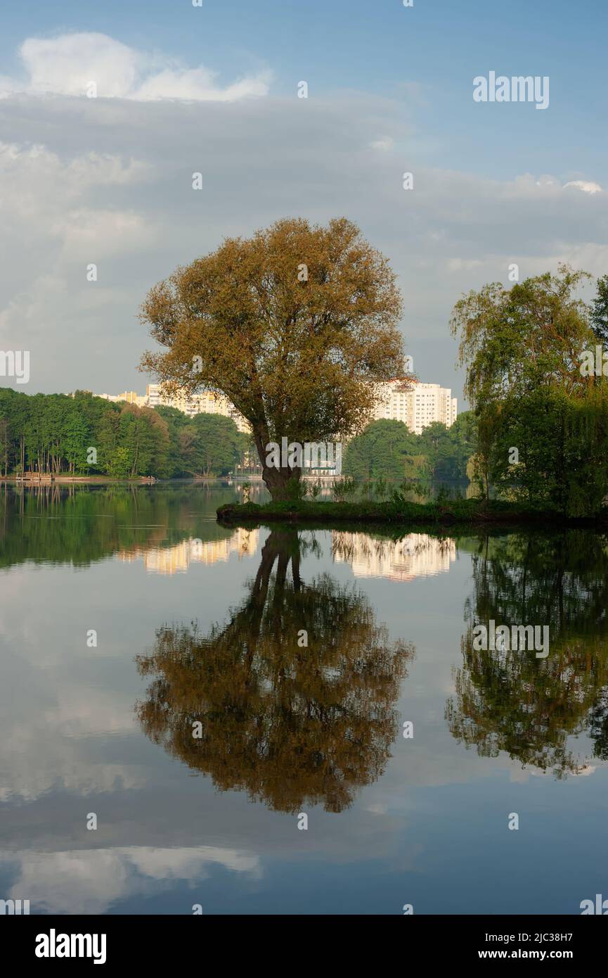 Landscape with a lake in the early morning in the city park of Minsk ...