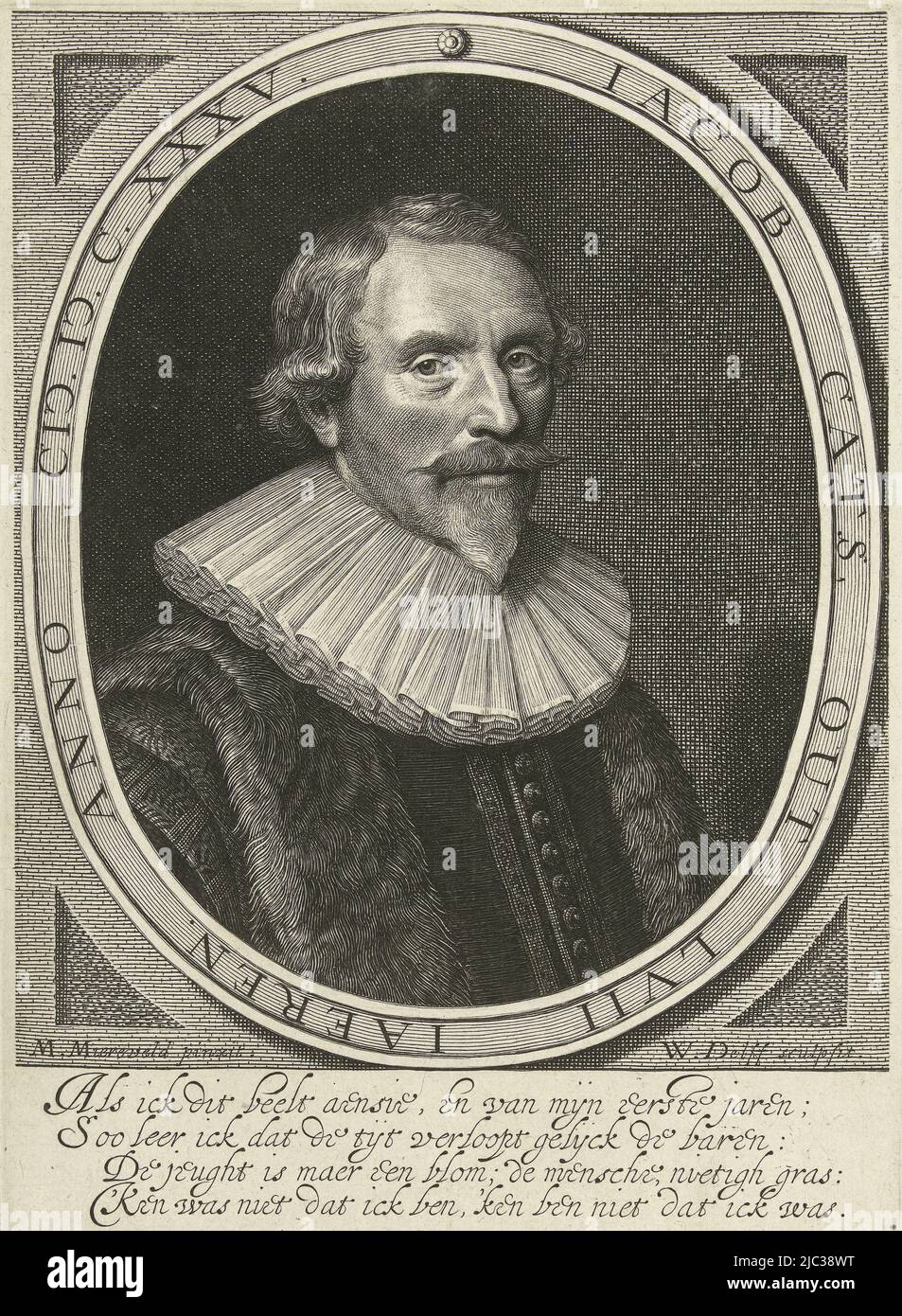 Jacob cats aged 57 hi-res stock photography and images - Alamy